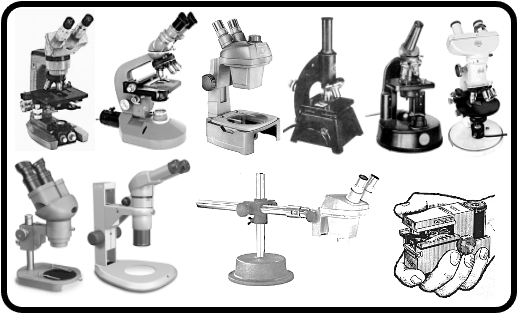 Collection of antique microscopes and other scientific instruments