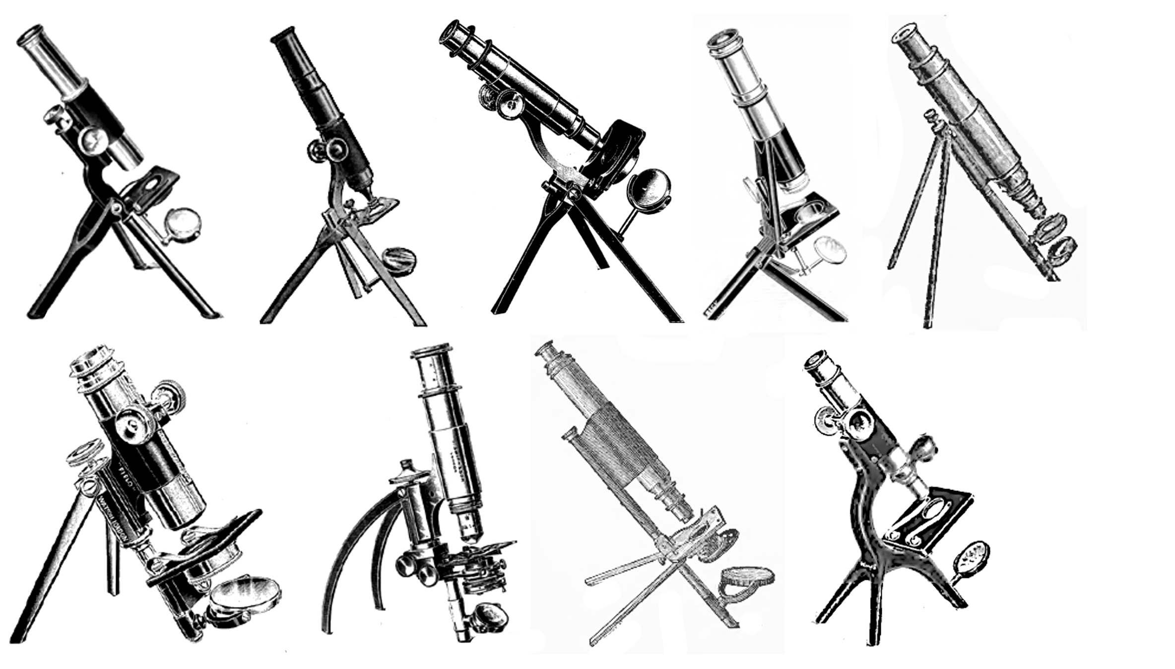 Several microscopes on a tripodDescription automatically generated with ...