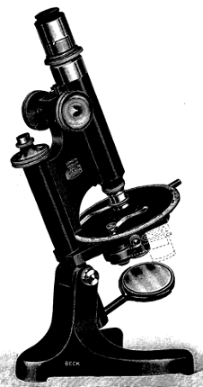 FE Becker’s catalogue (1924)