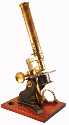 A picture containing indoorDescription automatically generated